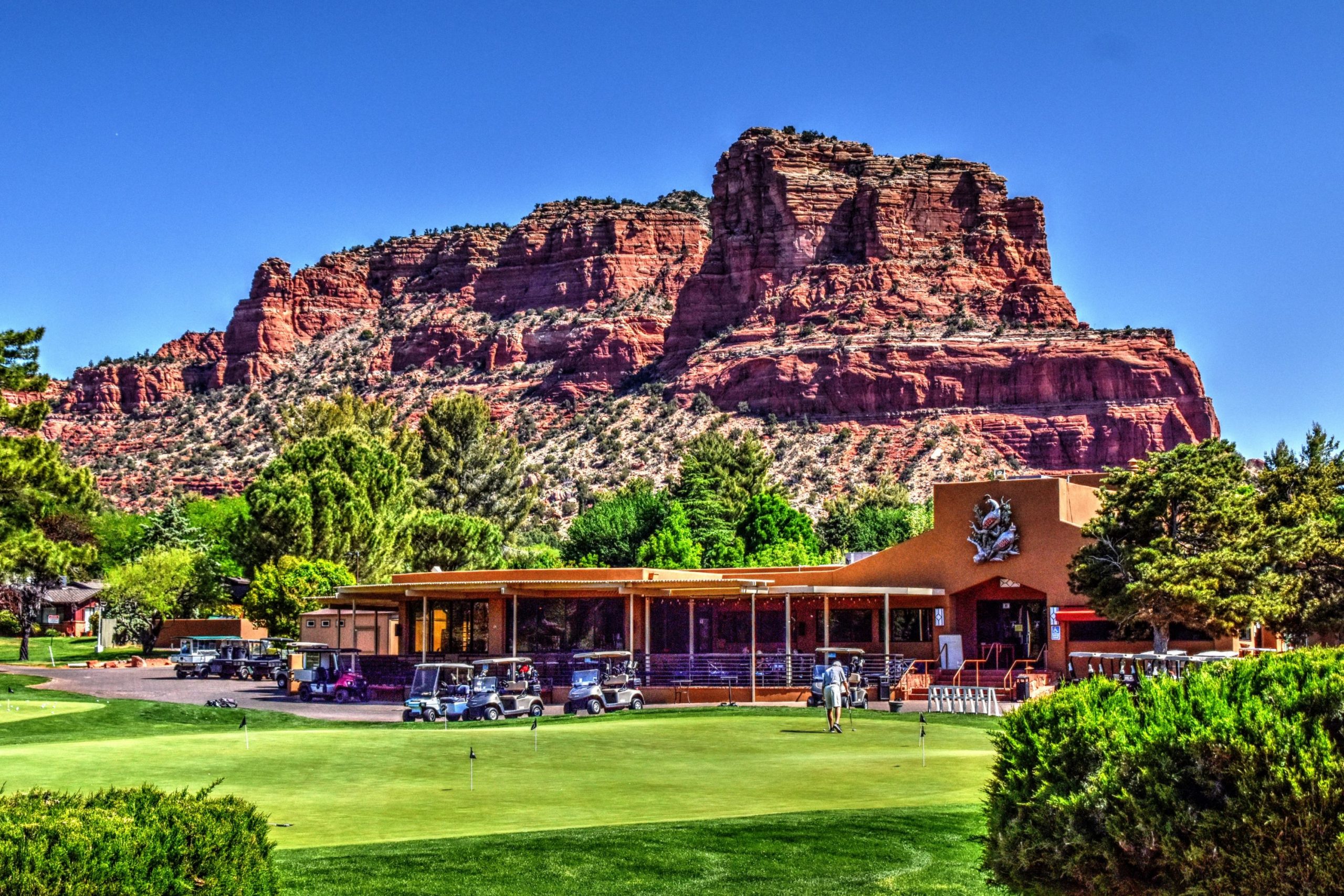 Matthew Picanso wins historic first Asian Tour event in US